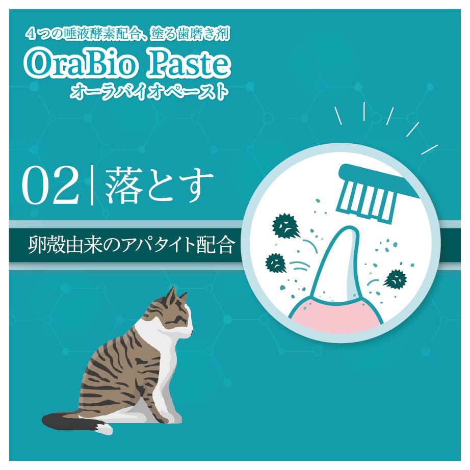 ORABIO 🇯🇵 Dental Care Gentle Enzyme Lactococcus Toothpaste for Dogs ...