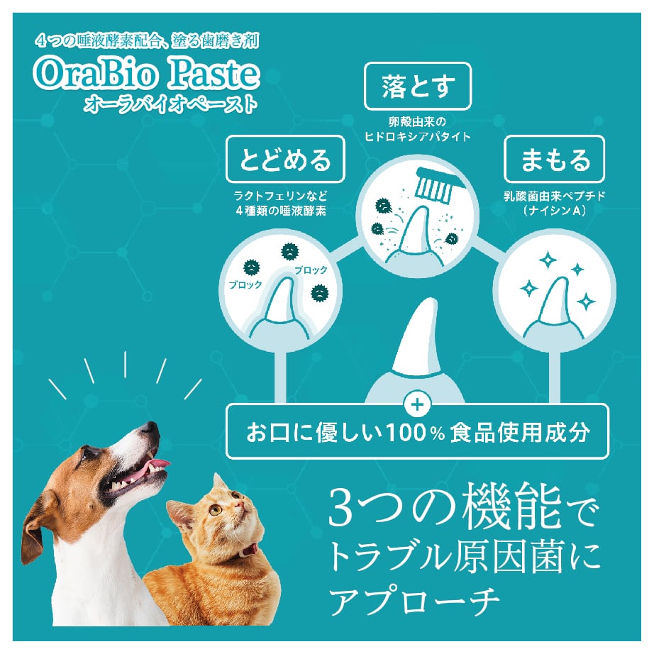 ORABIO 🇯🇵 Dental Care Gentle Enzyme Lactococcus Toothpaste for Dogs ...