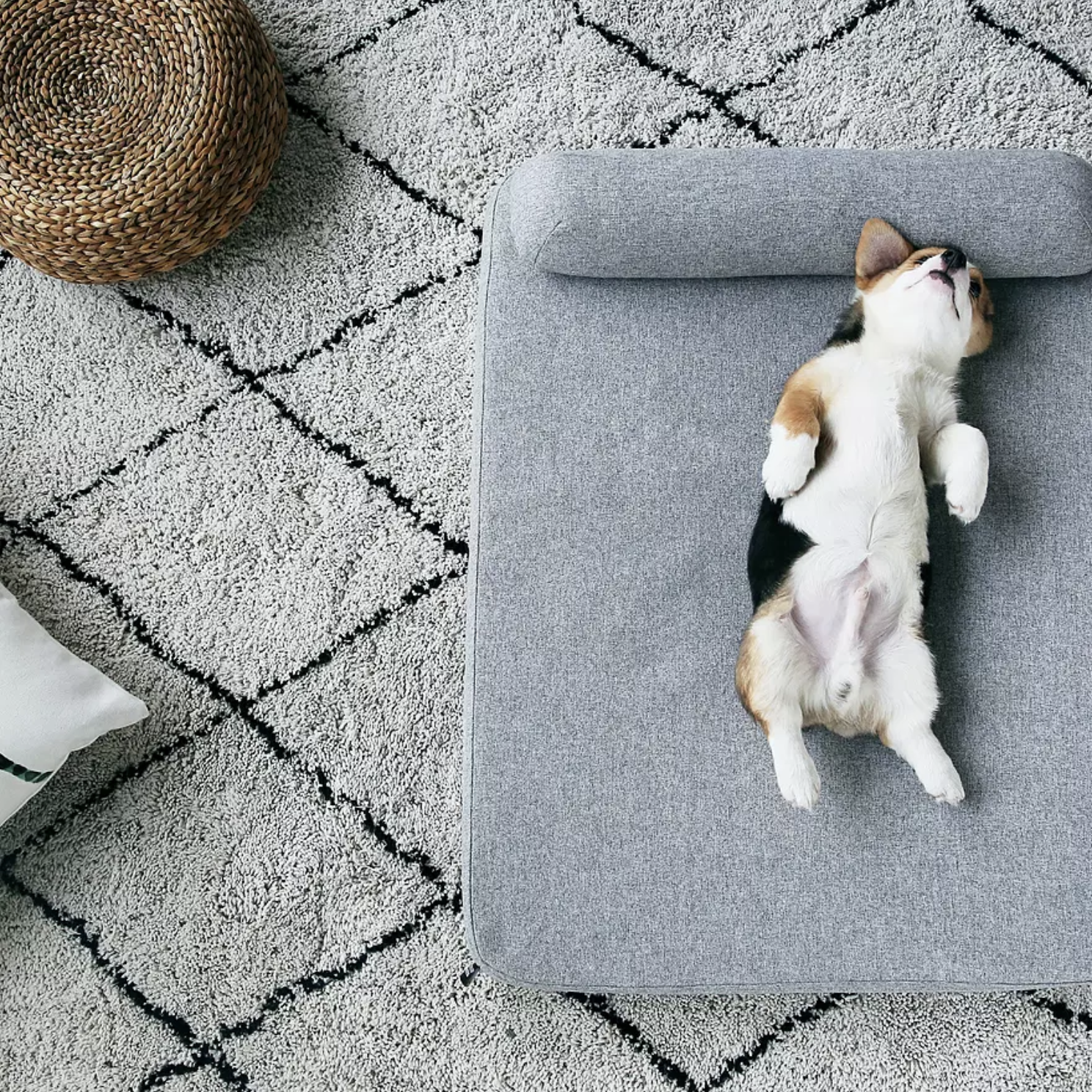 PETKIT Deep Sleep Bed – MELLO